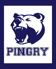 Pingry Bear Pillow 20 x 20 – Custom Made Comfort