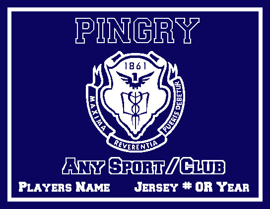 Pingry Athletic Any Sport 60 x 50 – Custom Made Comfort